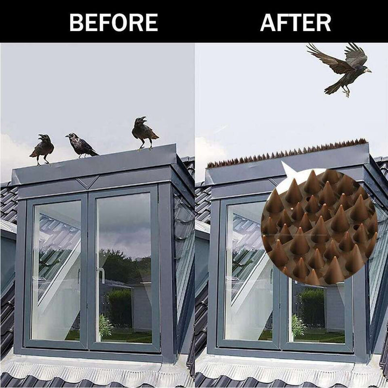 10X Bird Spikes Human Cat Possum Pest Mouse Control Spiked Fence Wall