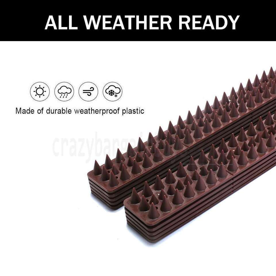 10X Bird Spikes Human Cat Possum Pest Mouse Control Spiked Fence Wall