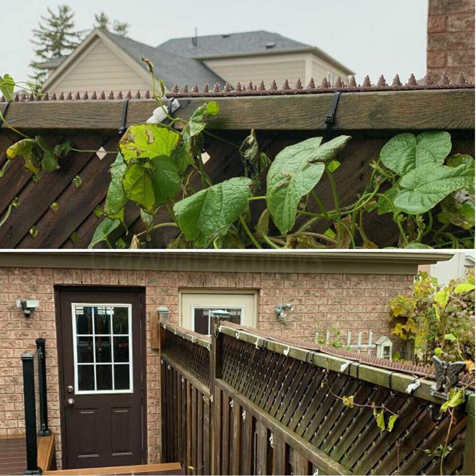 10X Bird Spikes Human Cat Possum Pest Mouse Control Spiked Fence Wall