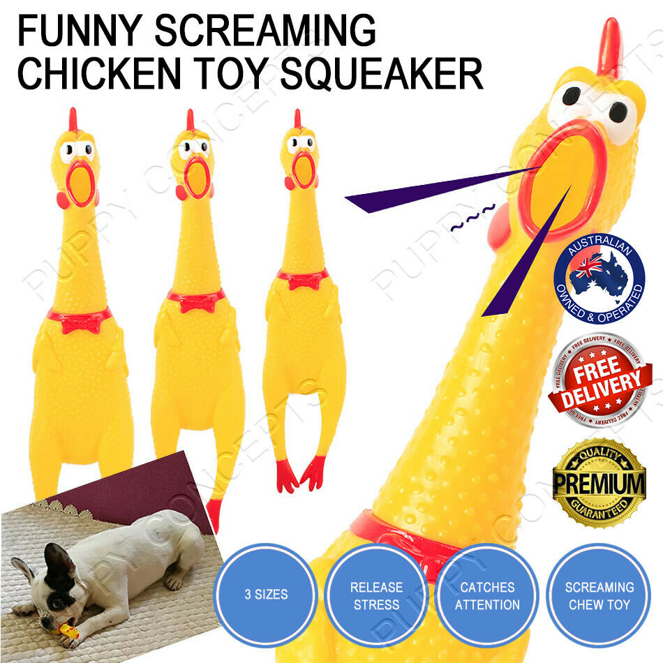 Funny Screaming Chicken Toy Squeaker Shrilling Pet Dog Bite Squeeze Ru